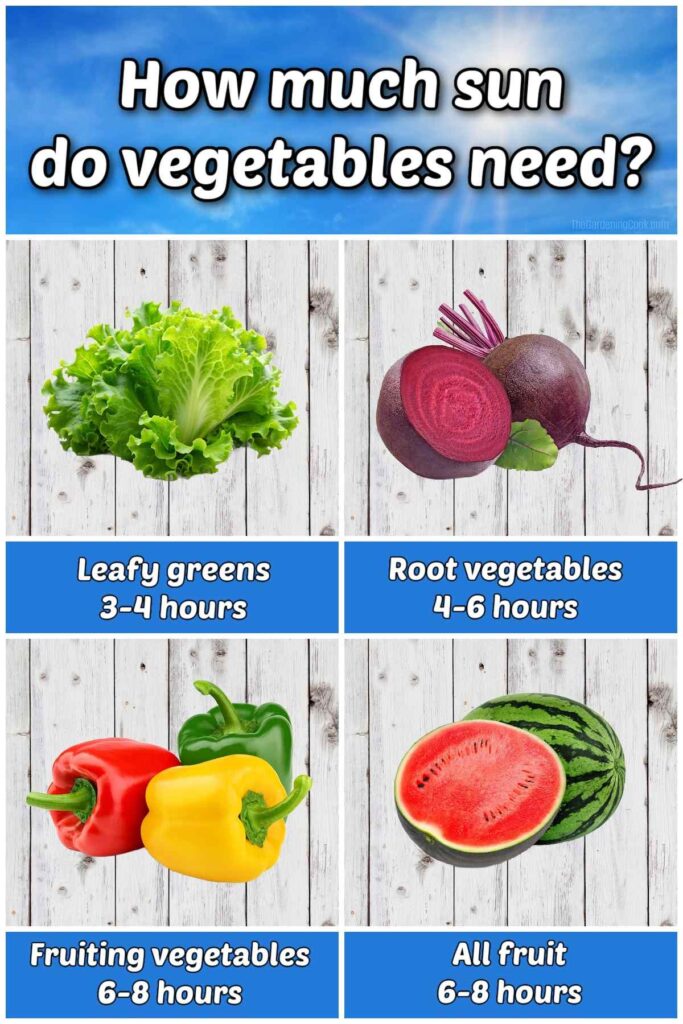 Vegetable Sunlight Chart - How Much Sun do Vegetables Need?