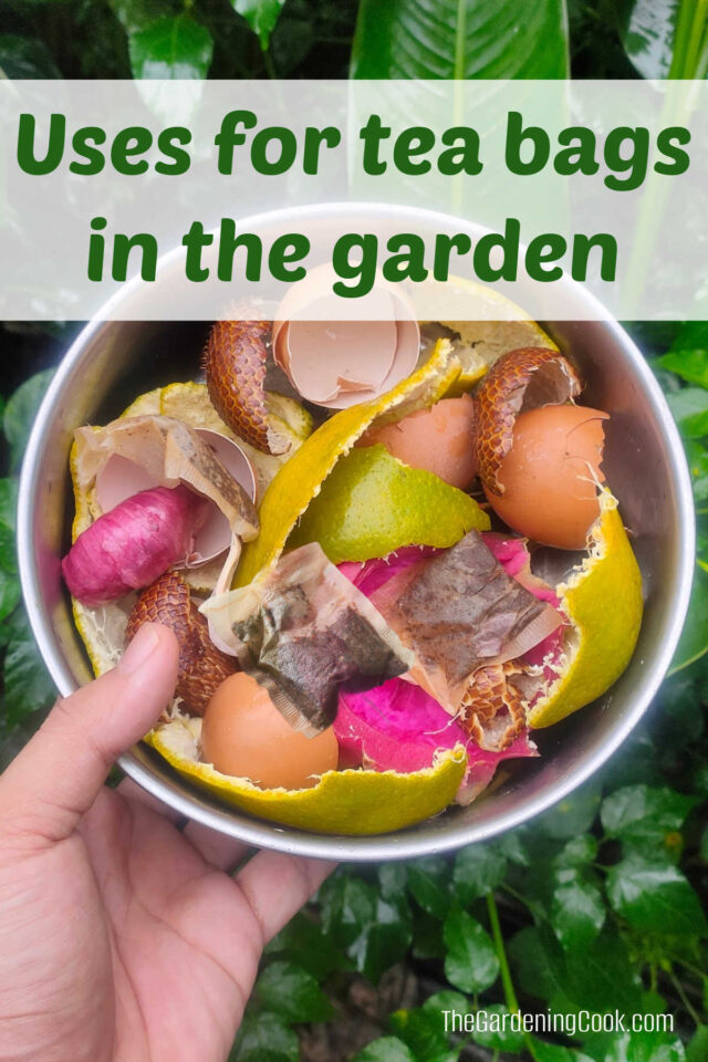 Using Tea Bags in Gardens - Tips for Recycling Tea Bags