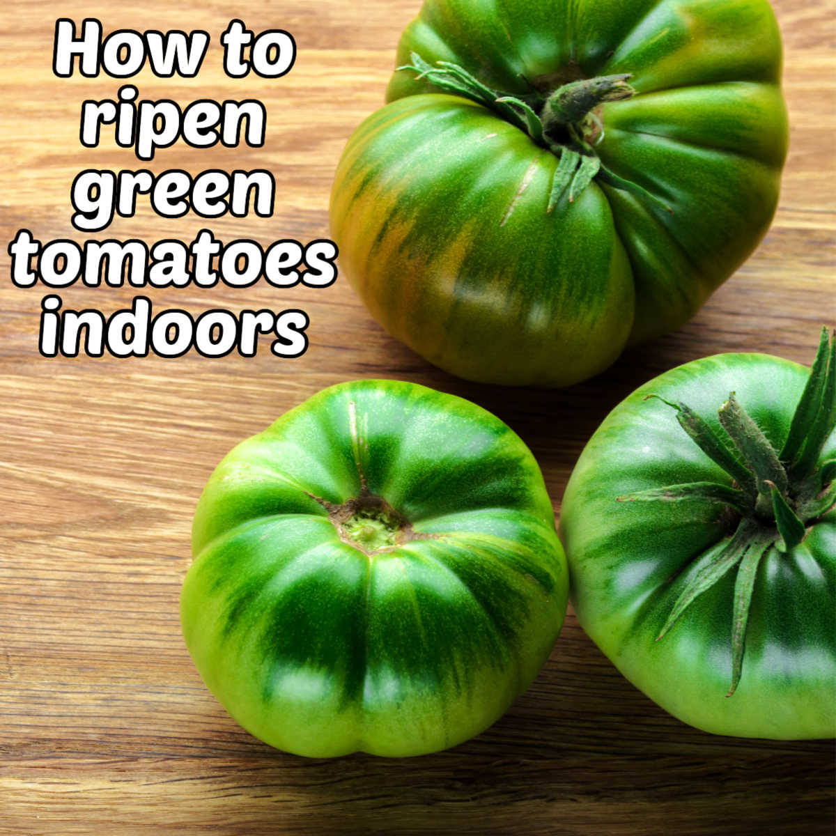 How to Ripen Tomatoes Indoors - 5 Proven Methods that Work