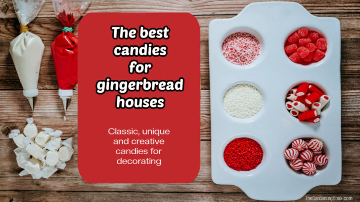 Best Candies for Gingerbread Houses – Fun Decorating Ideas