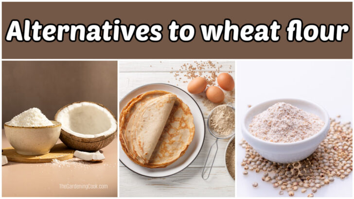 Gluten Substitutes That Work for Cooking and Baking