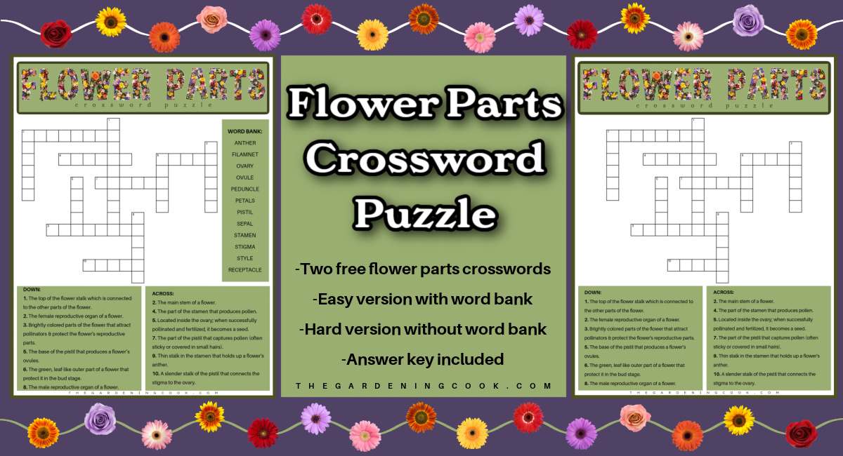 Free Printable Flower Parts Crossword Puzzle (PDF & JPG)