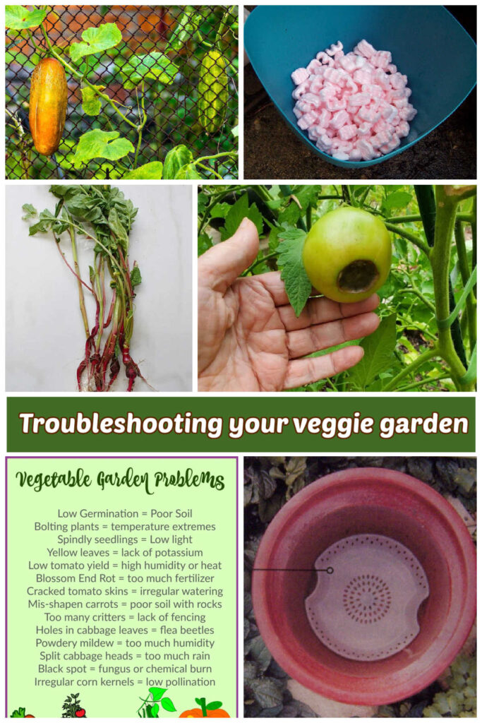 Vegetable Garden on a Deck: 14+ Easy Container Gardening Tips