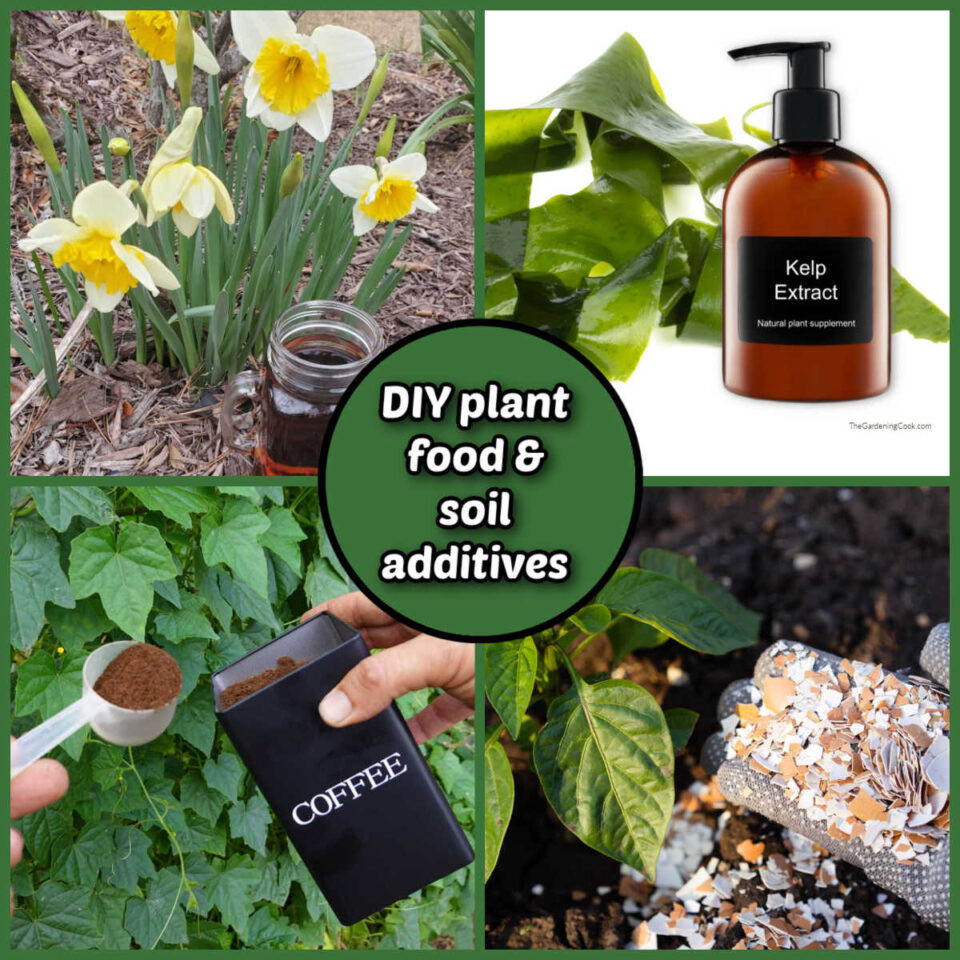 The Gardening Cook - Gardening, Cooking, DIY & More!